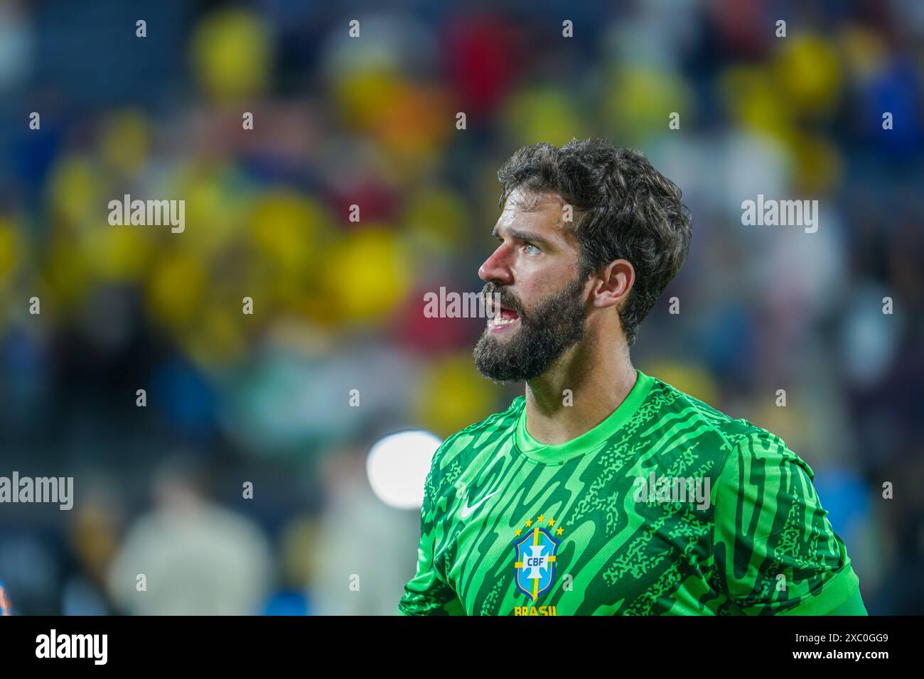 Brazil goalkeeper hi-res stock photography and images - Alamy