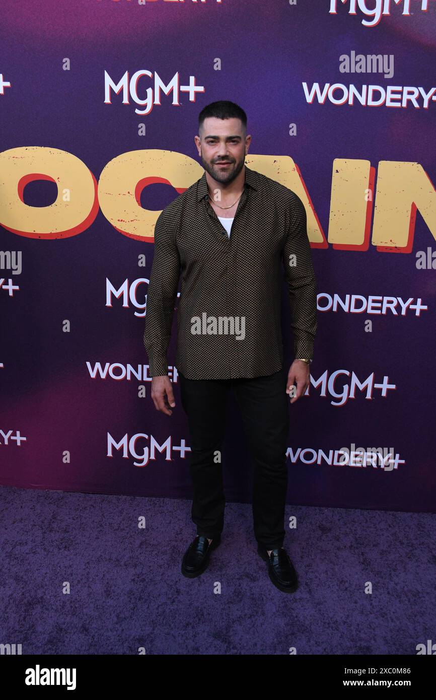 Los Angeles, California, USA 13th June 2024 Actor Jesse Metcalfe ...