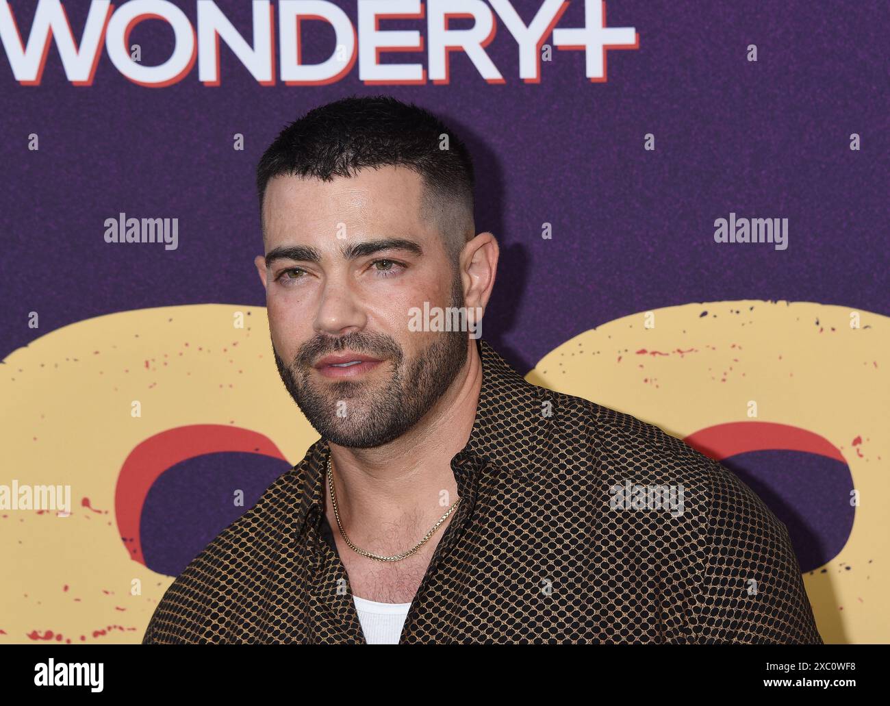 Los Angeles, USA. 13th June, 2024. Jesse Metcalfe arriving to the MGM ...