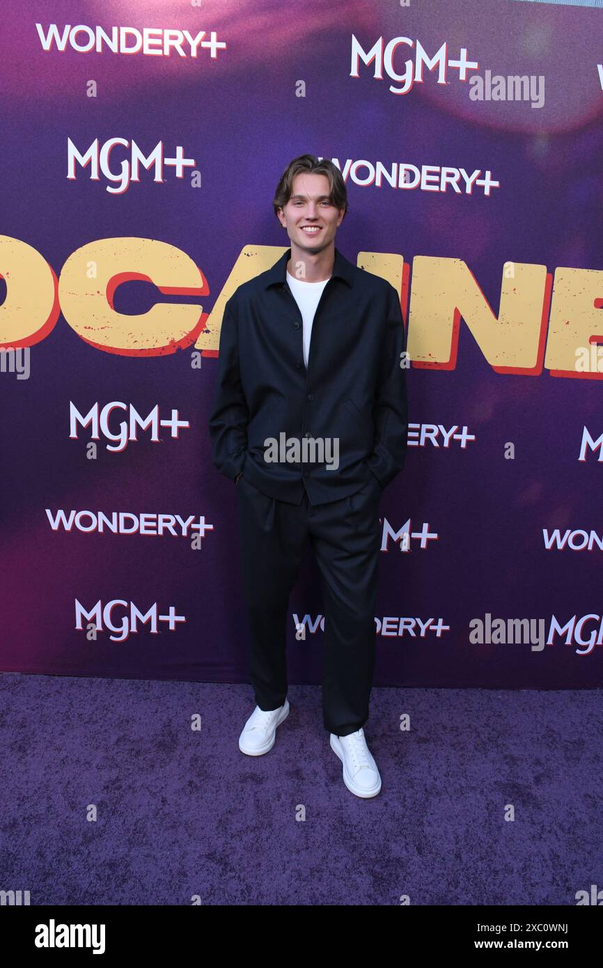 Los Angeles, California, USA 13th June 2024 Actor Cale Ambrozic attends Los Angeles Premiere of ...