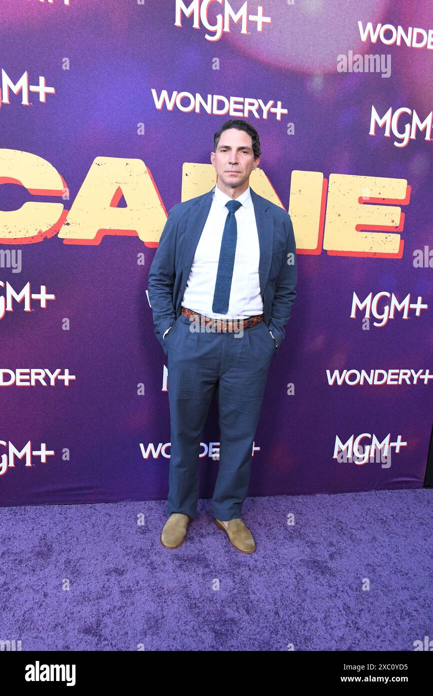 Los Angeles, California, USA 13th June 2024 Co-Executive Producer ...
