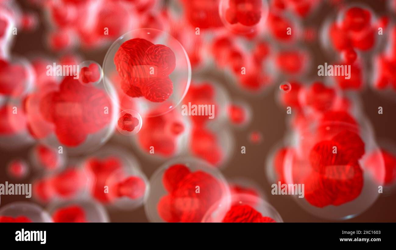 Human cell or Embryonic stem cells Stock Photo - Alamy