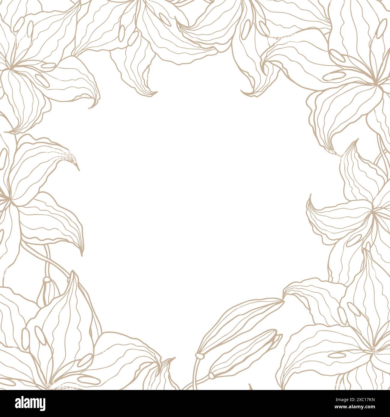 Lilly line art flower banner for wedding card or invitations. Hand ...