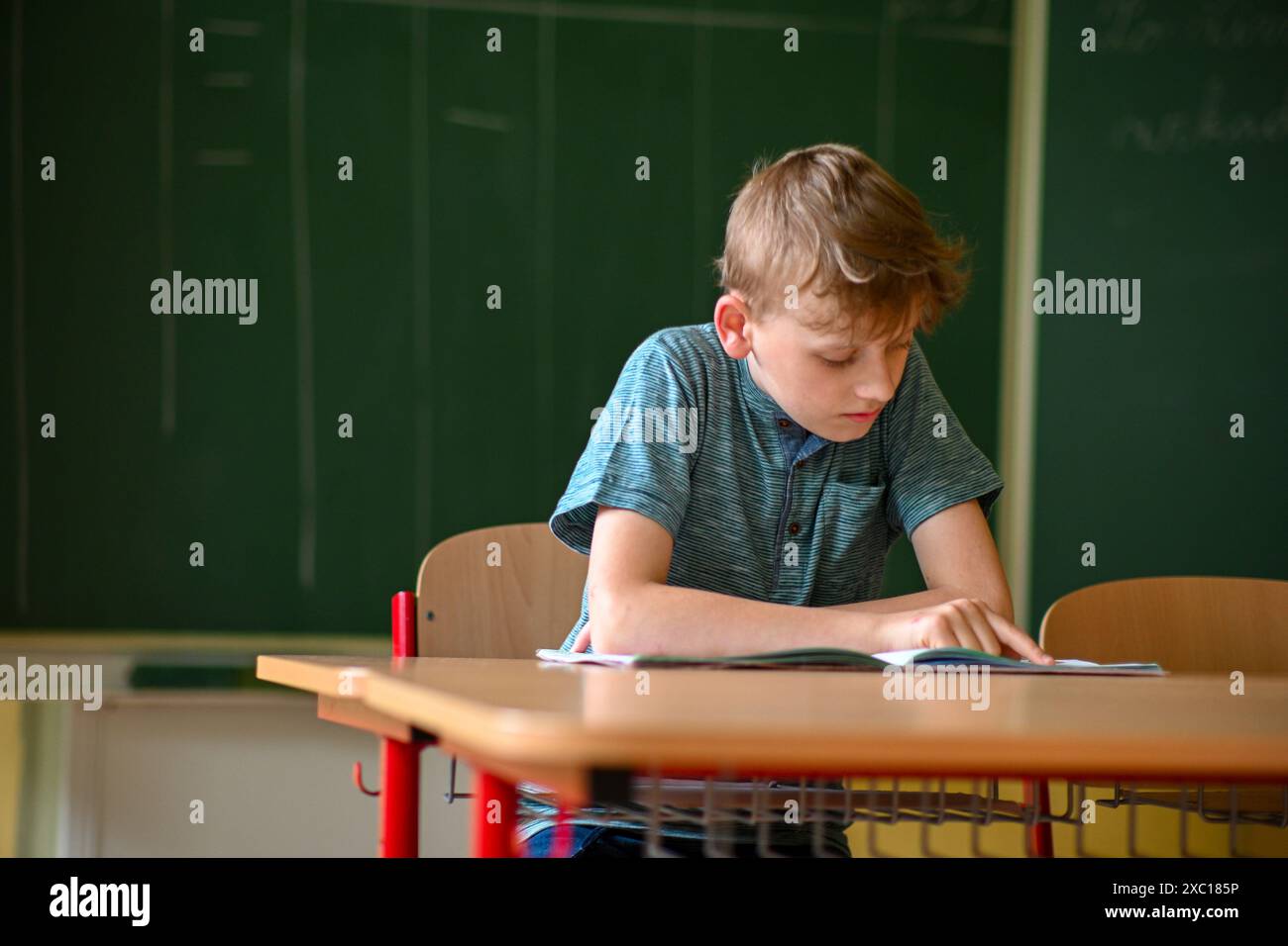 Young student is concentrating on his textbook at his desk in the ...