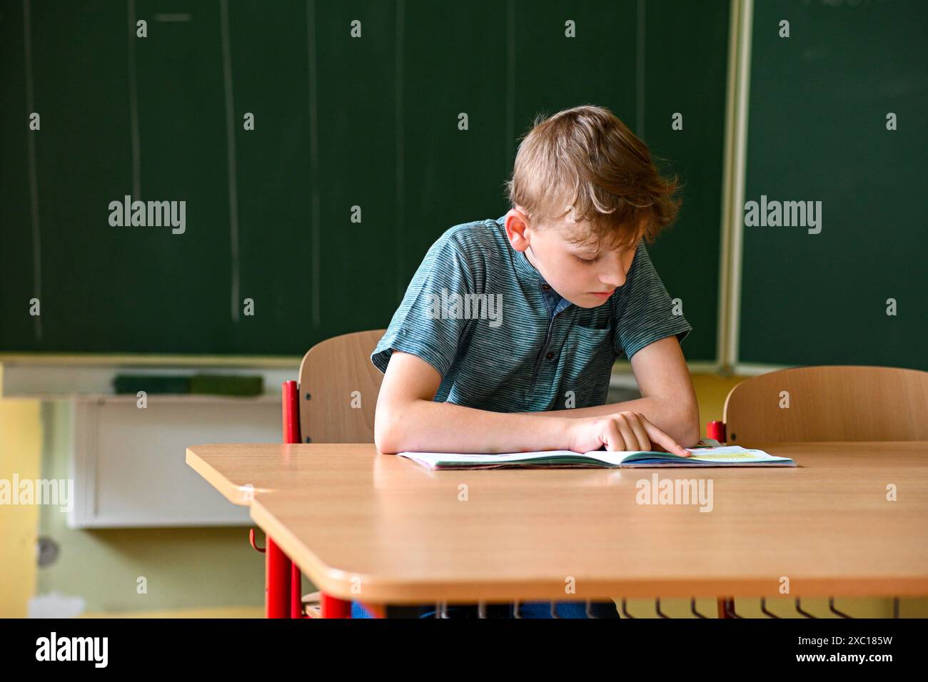Young student is concentrating on his textbook at his desk in the ...