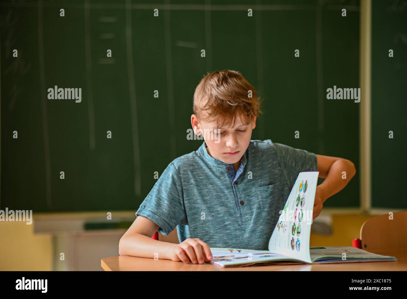 A schoolboy is reading a textbook while sitting at a desk in a ...