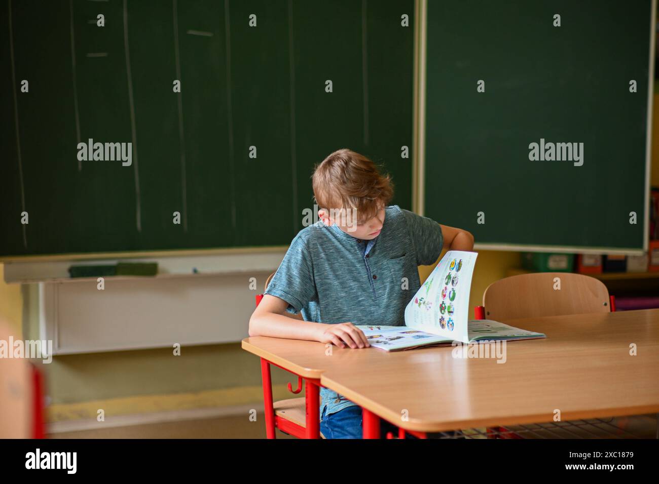 A schoolboy is reading a textbook while sitting at a desk in a ...