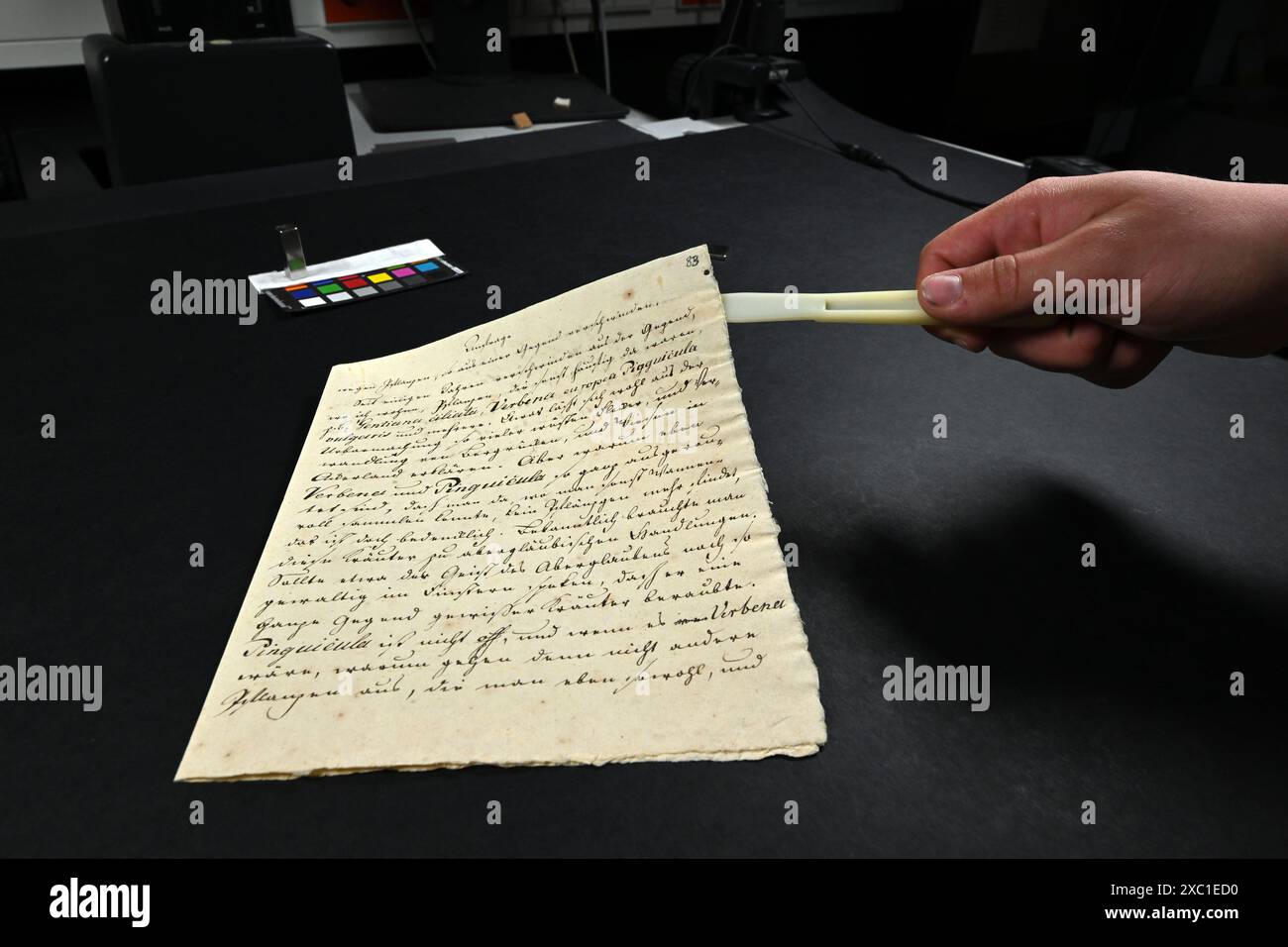 Weimar, Germany. 13th June, 2024. An original Goethe manuscript is ...