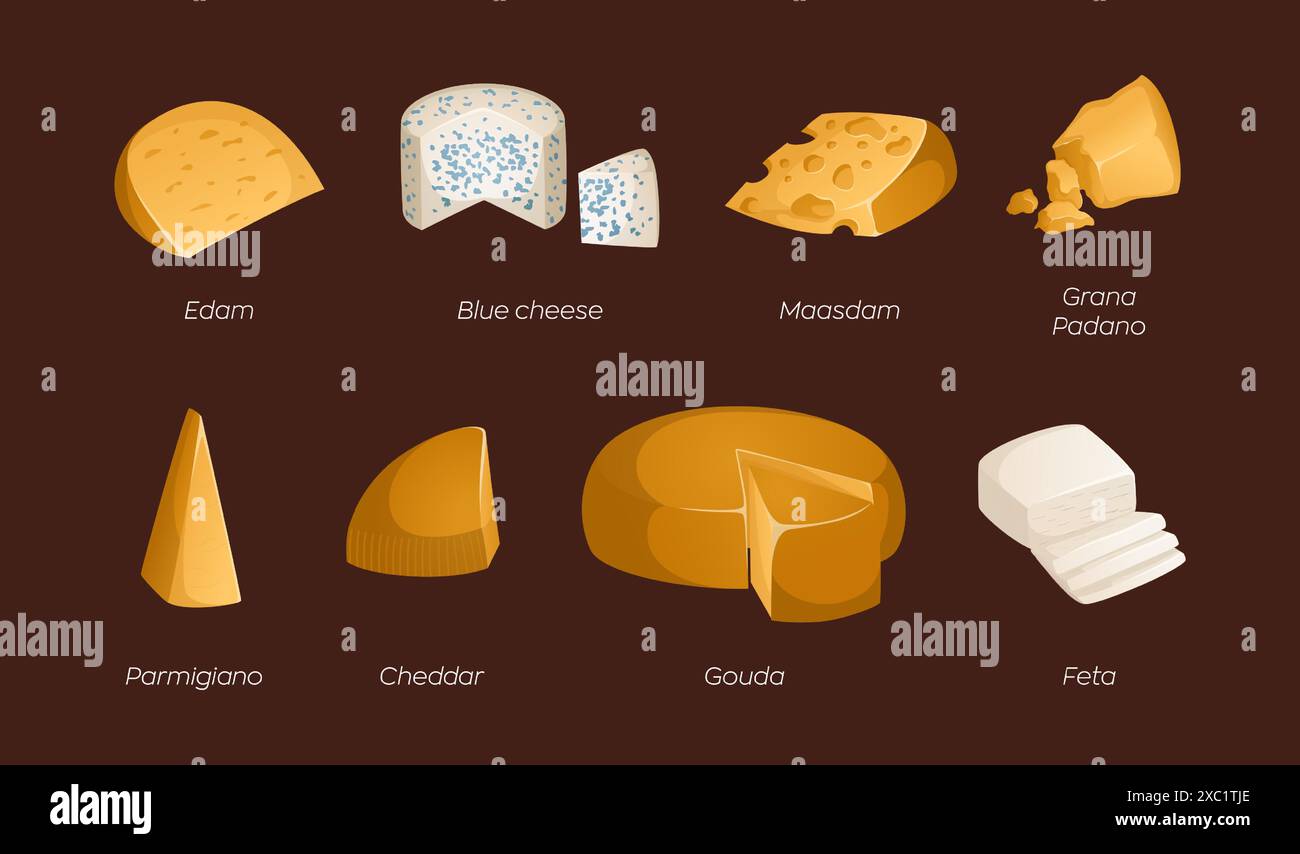 Selection of cheeses Stock Vector Images - Alamy