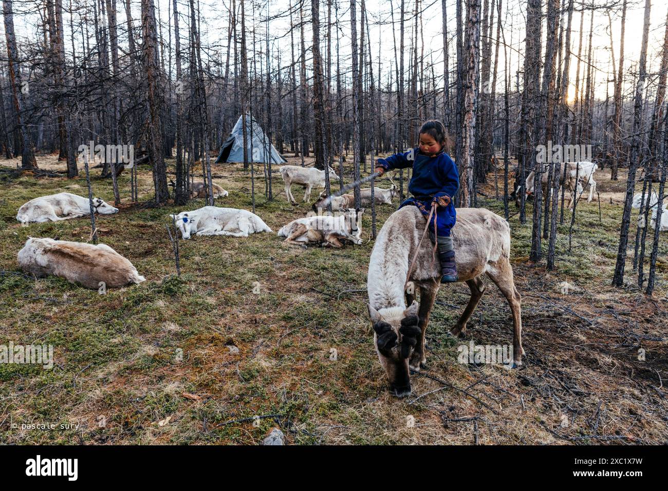 Mongolia: Khovsgol and Tsaatan (North of Mongolia Stock Photo - Alamy