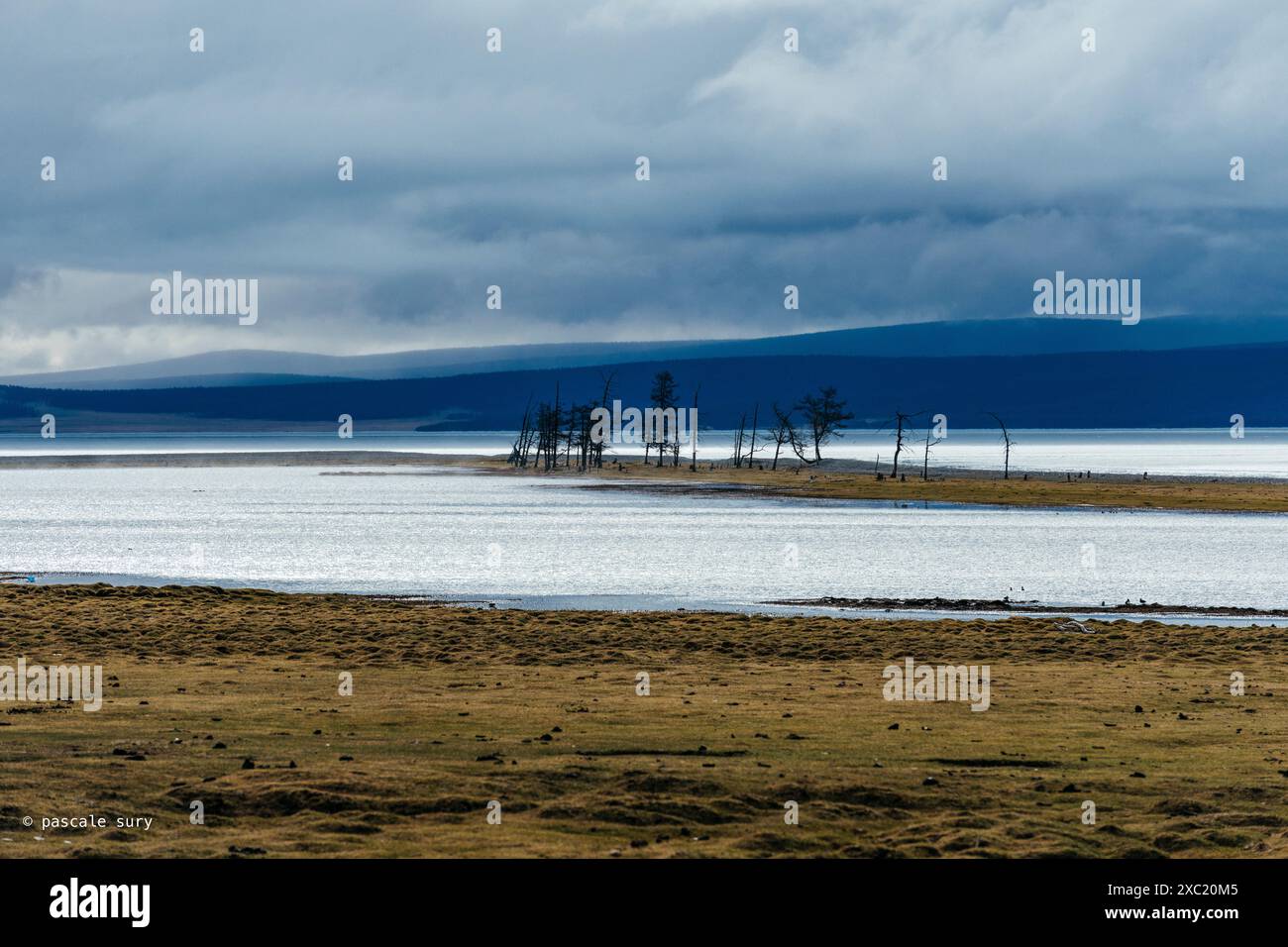 Mongolia: Khovsgol and Tsaatan (North of Mongolia Stock Photo - Alamy