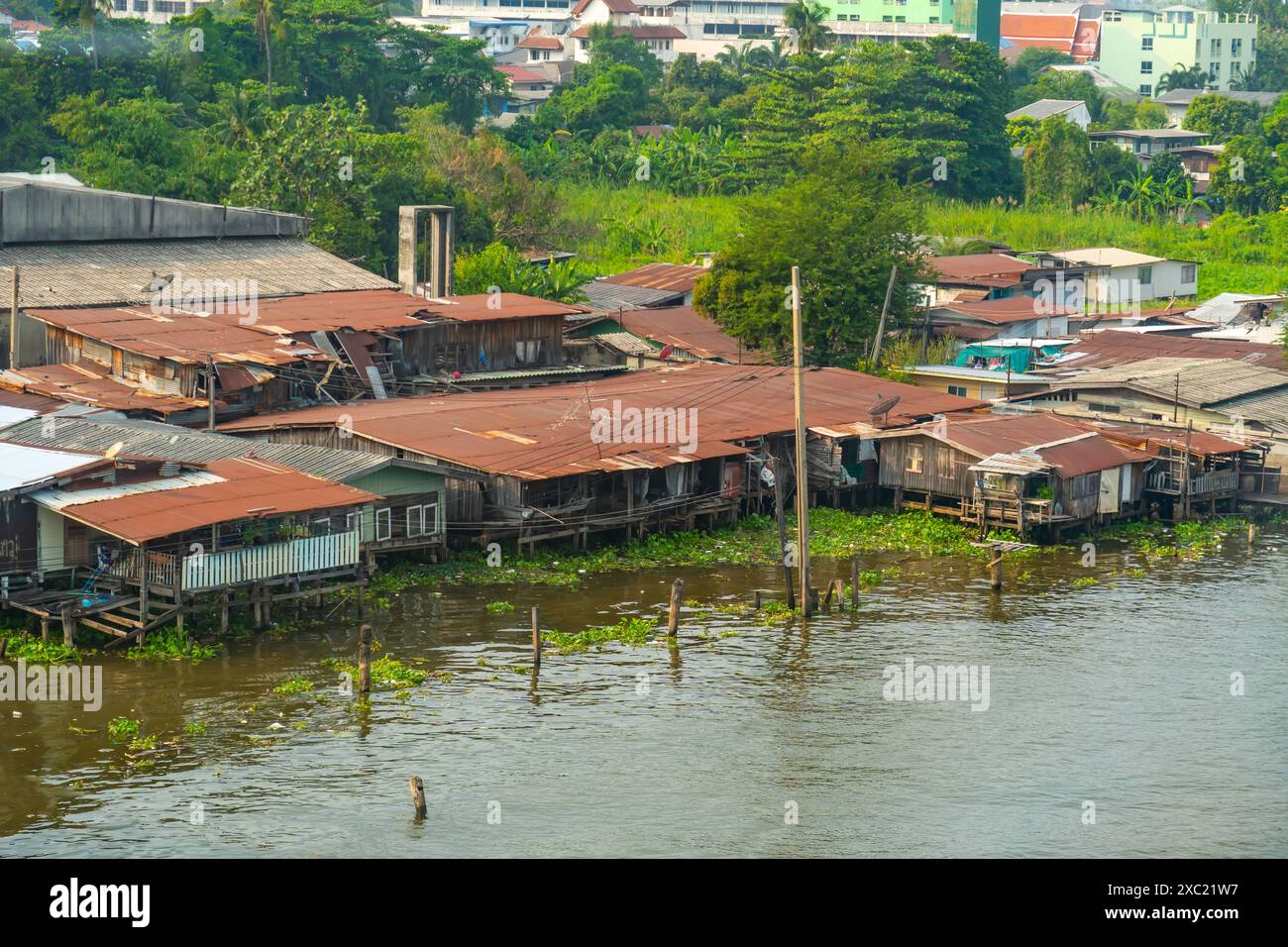 Old rotten wooden sheds barracks houses on supports built on the swamps ...