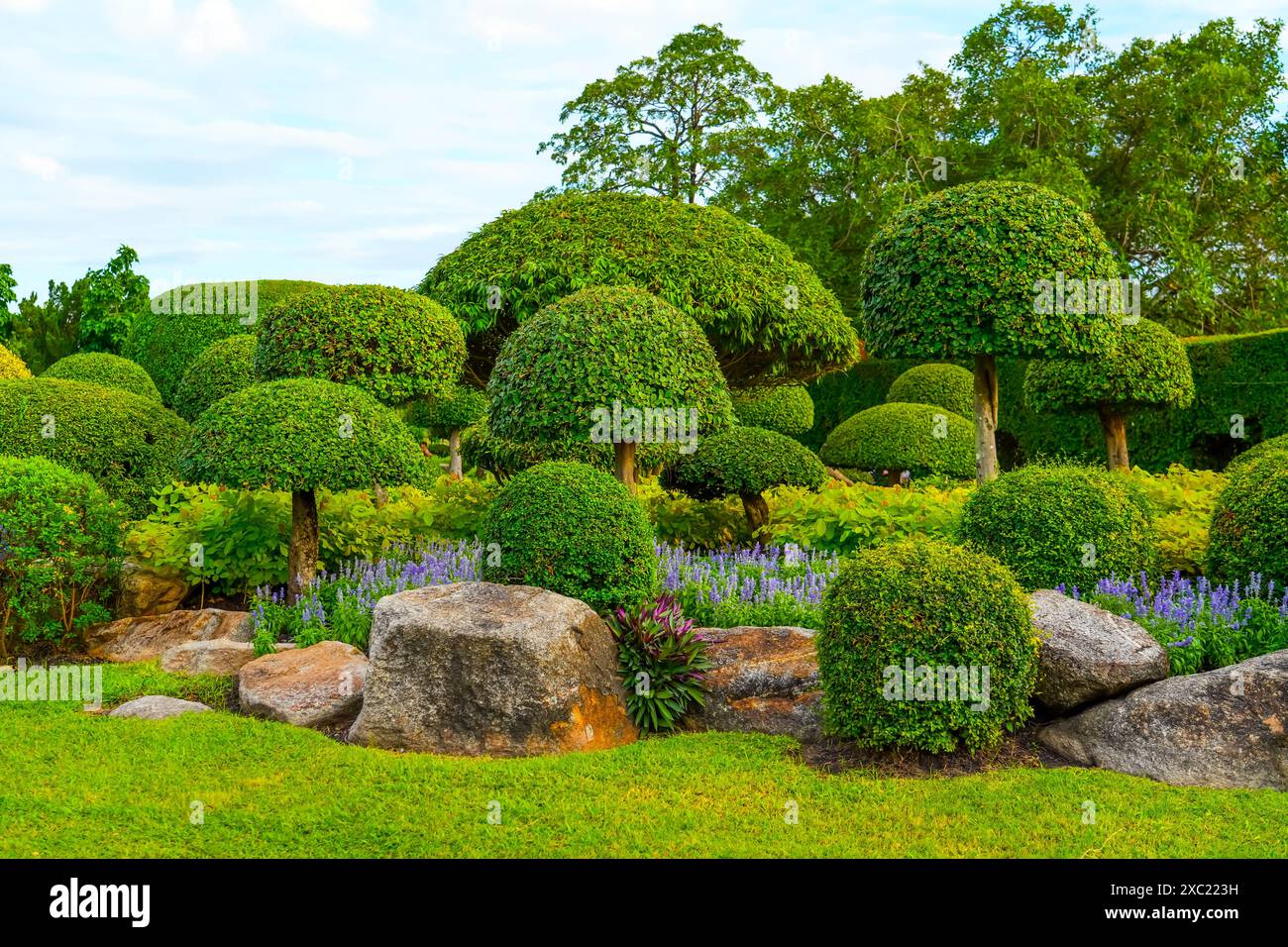 English garden trees bushes trimmed in geometric correct shapes ...