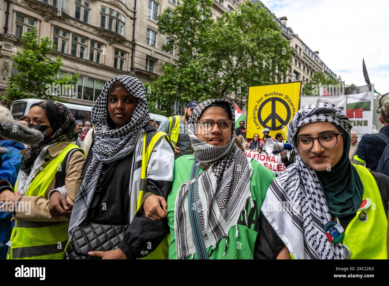 Pro-Palestinian protest in Central London on 08/06/2024, London ...