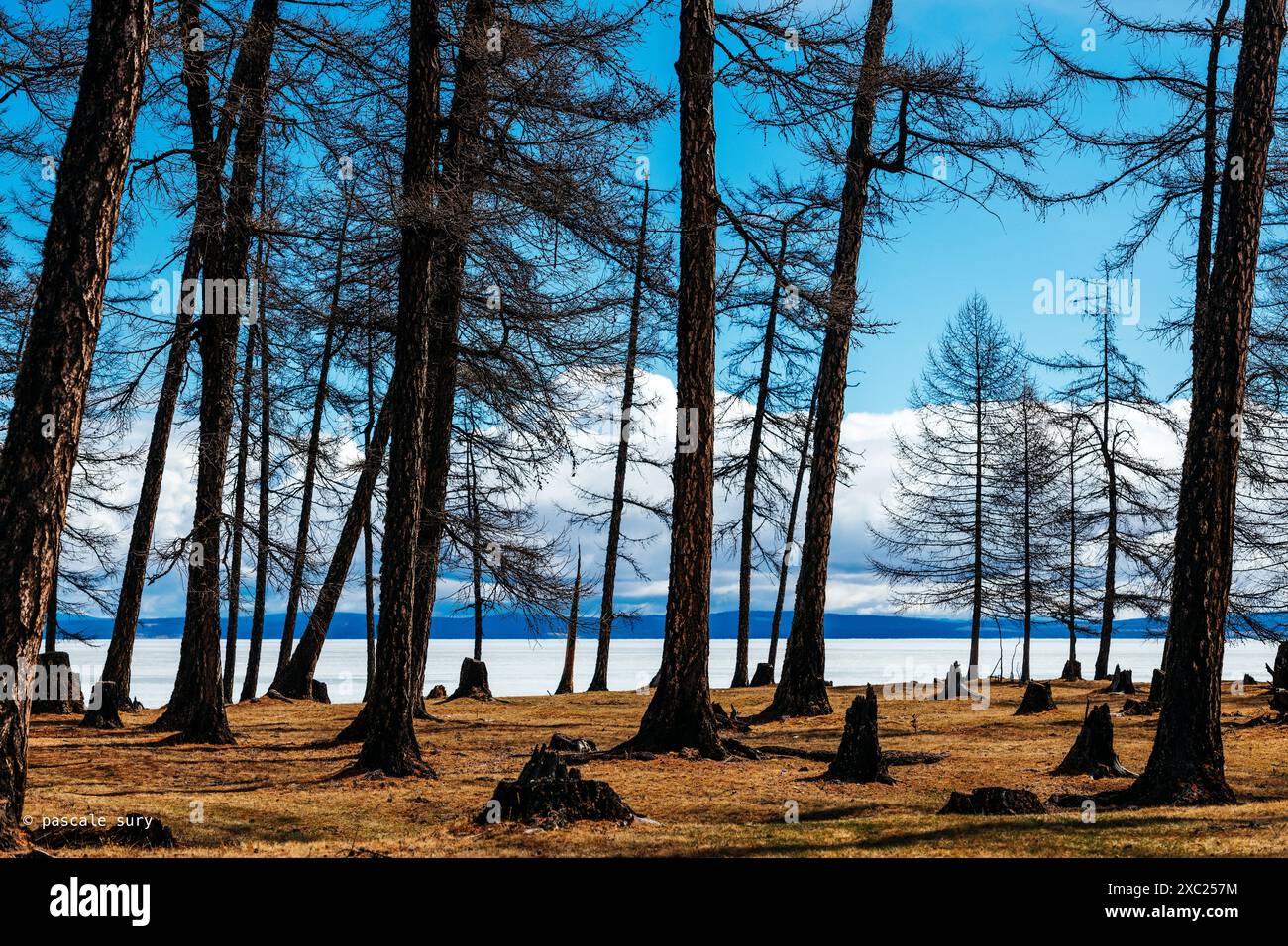 Mongolia: Khovsgol and Tsaatan (North of Mongolia Stock Photo - Alamy