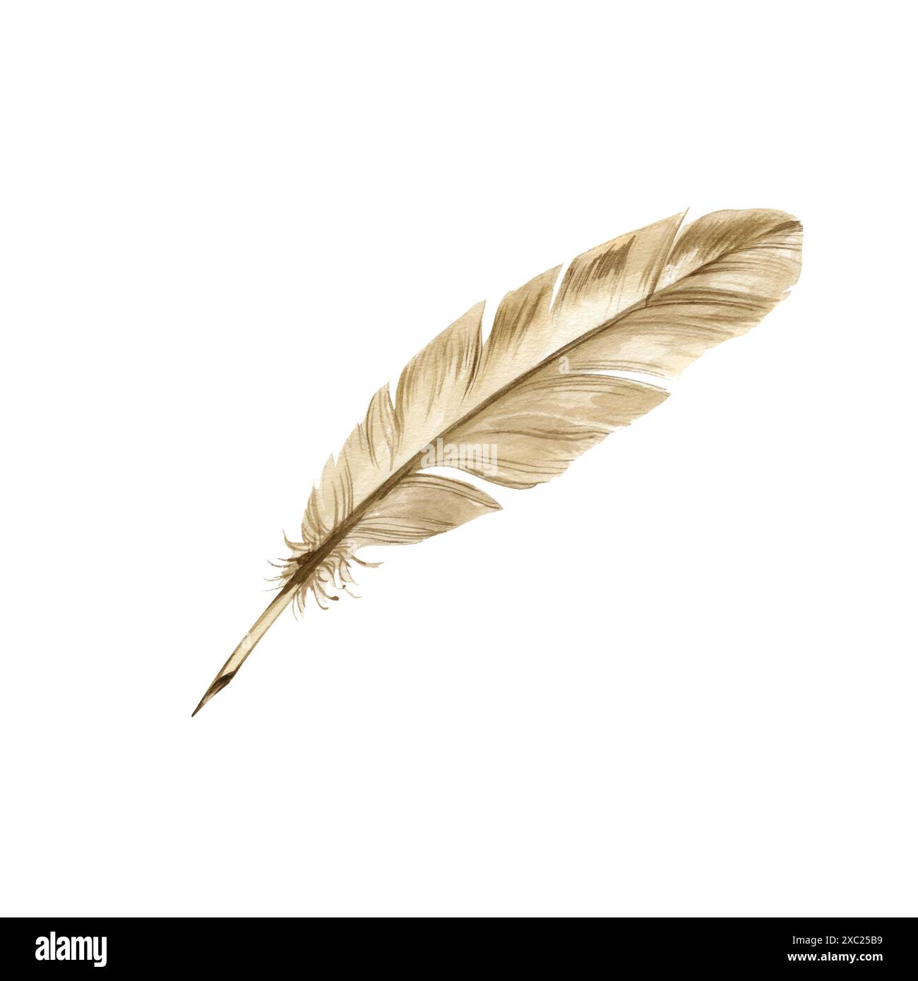 feather quill dip pen, watercolor illustration of historical theme ...