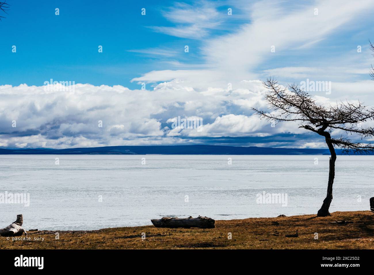 Mongolia: Khovsgol and Tsaatan (North of Mongolia Stock Photo - Alamy