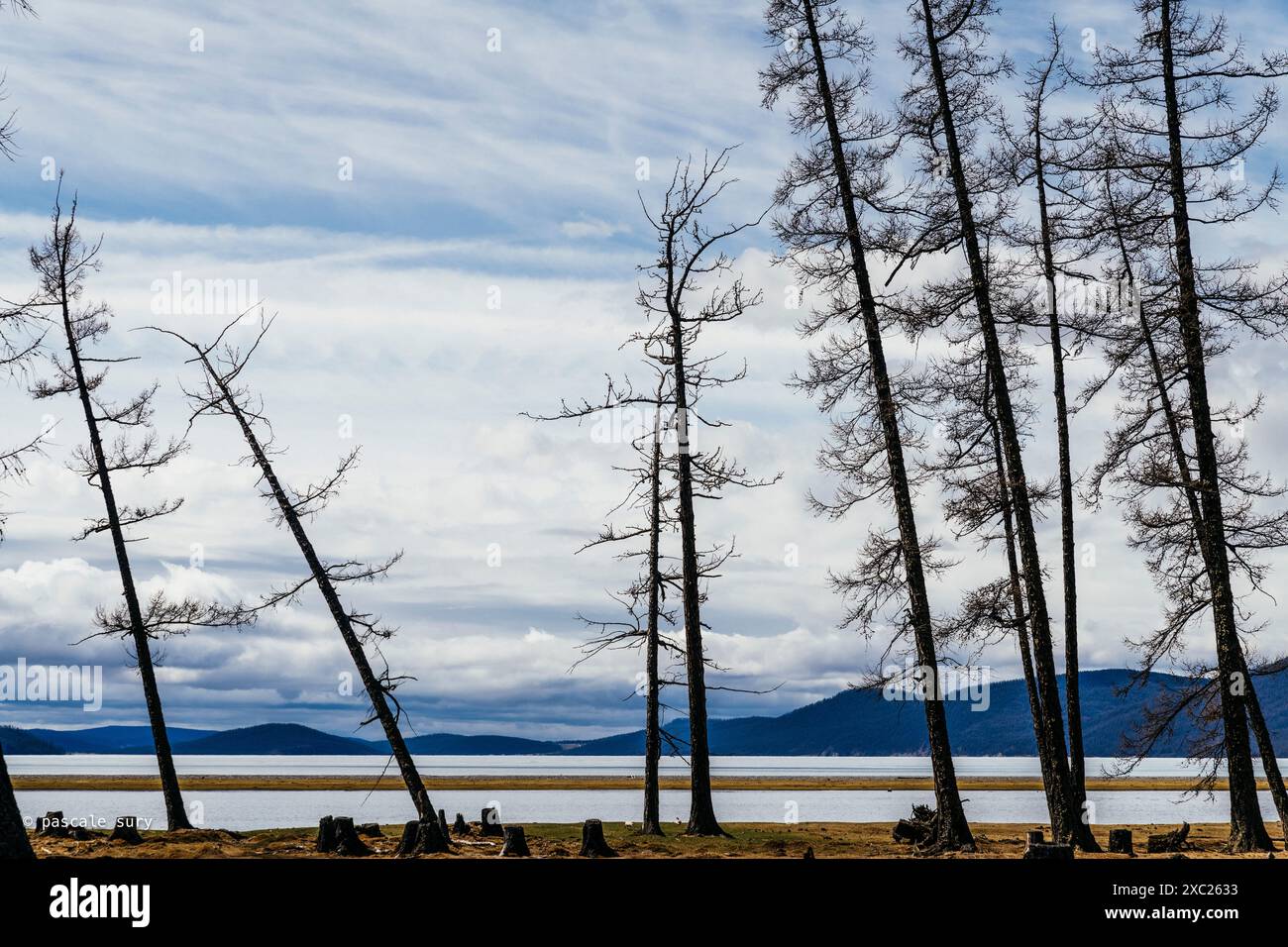 Mongolia: Khovsgol and Tsaatan (North of Mongolia Stock Photo - Alamy