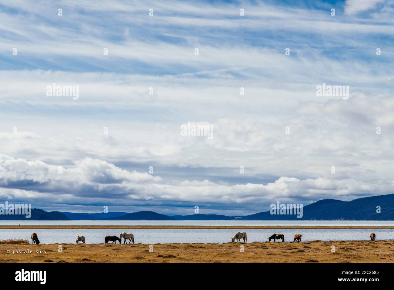 Mongolia: Khovsgol and Tsaatan (North of Mongolia Stock Photo - Alamy