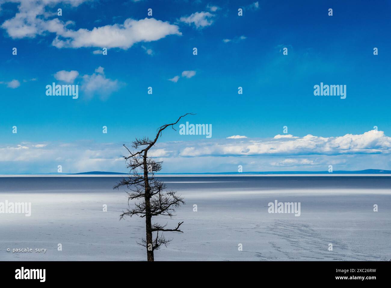 Mongolia: Khovsgol and Tsaatan (North of Mongolia Stock Photo - Alamy