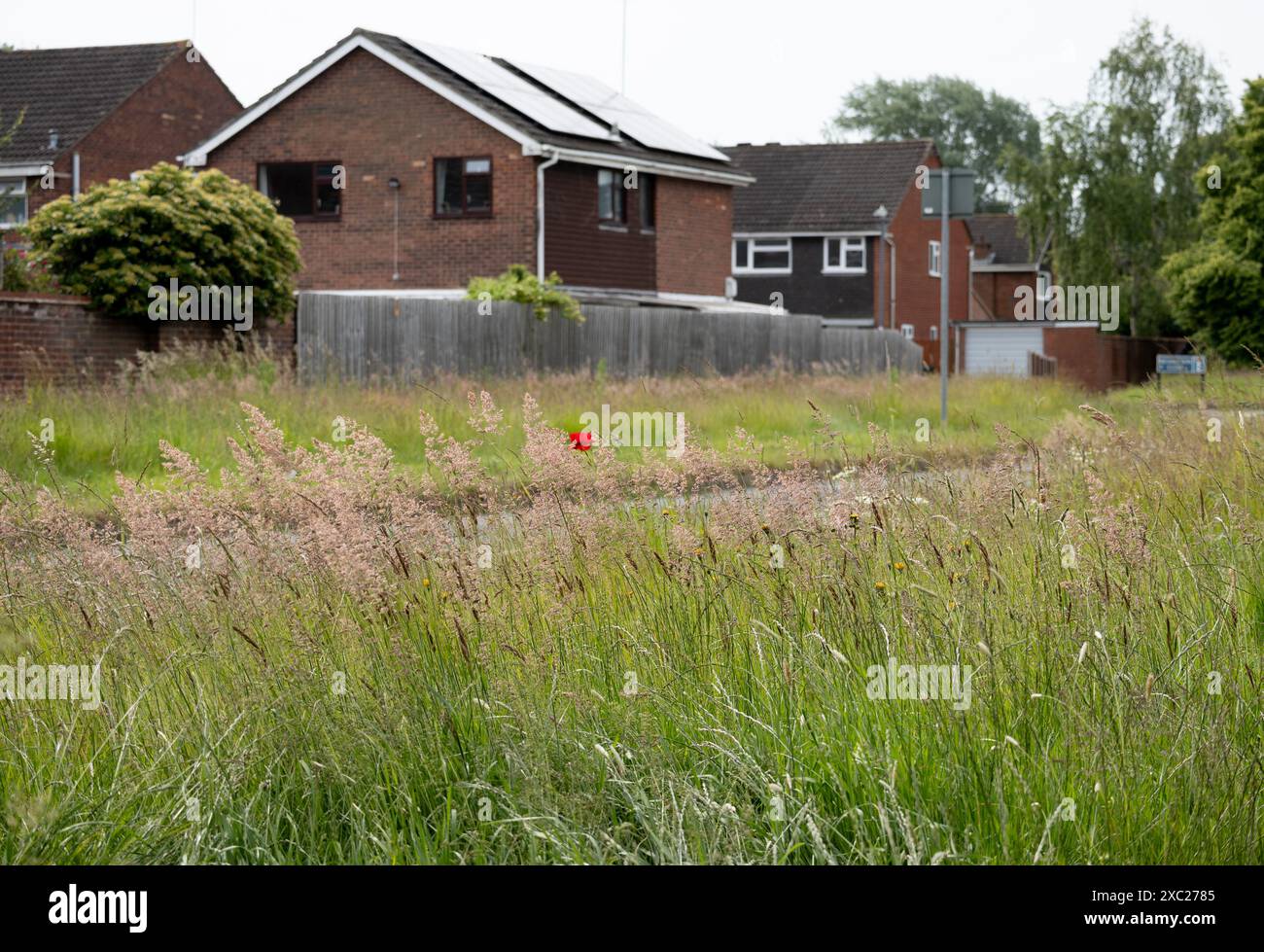 Grass verge uk hi-res stock photography and images - Alamy