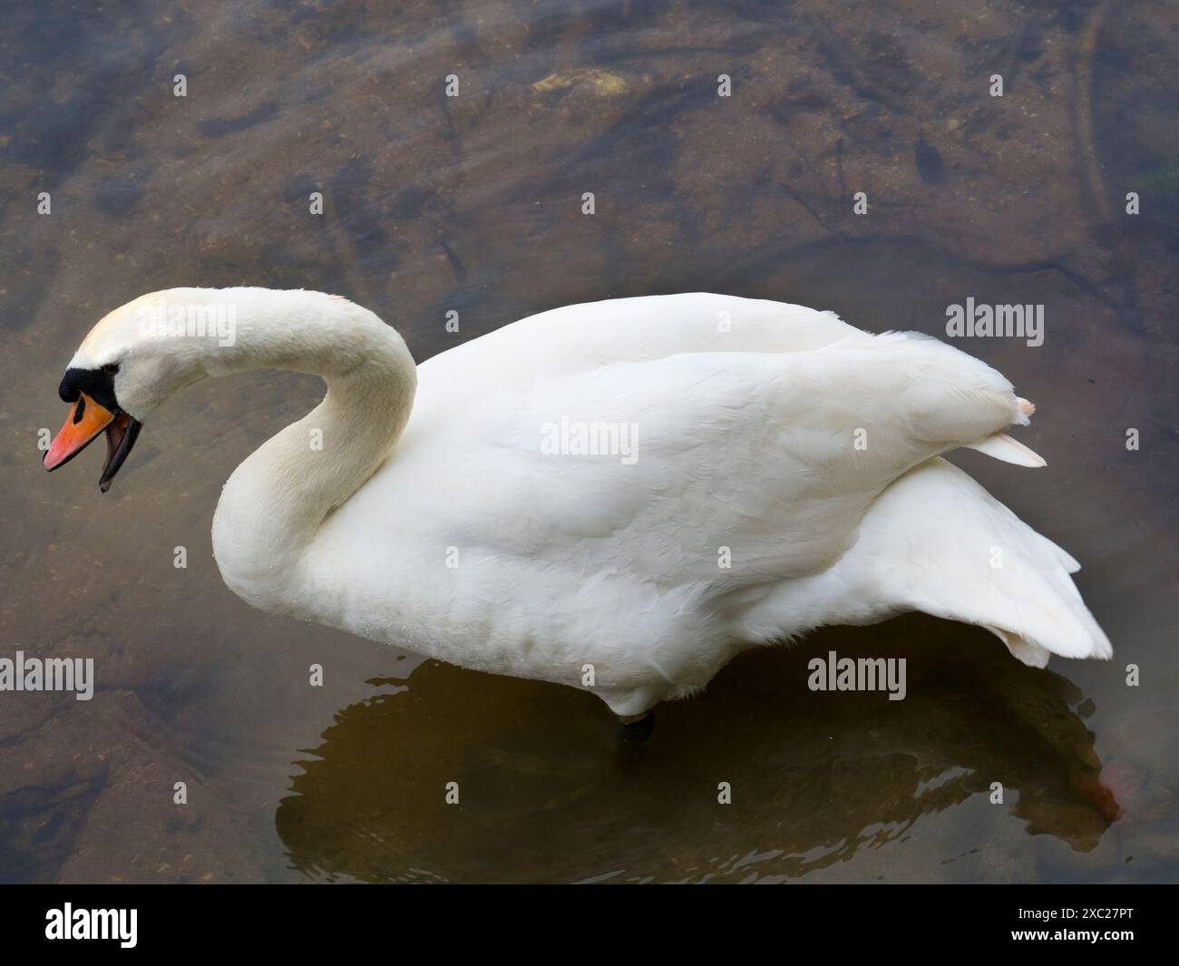 Saint Helen's Wharf is a noted beauty spot on the River Thames, just ...