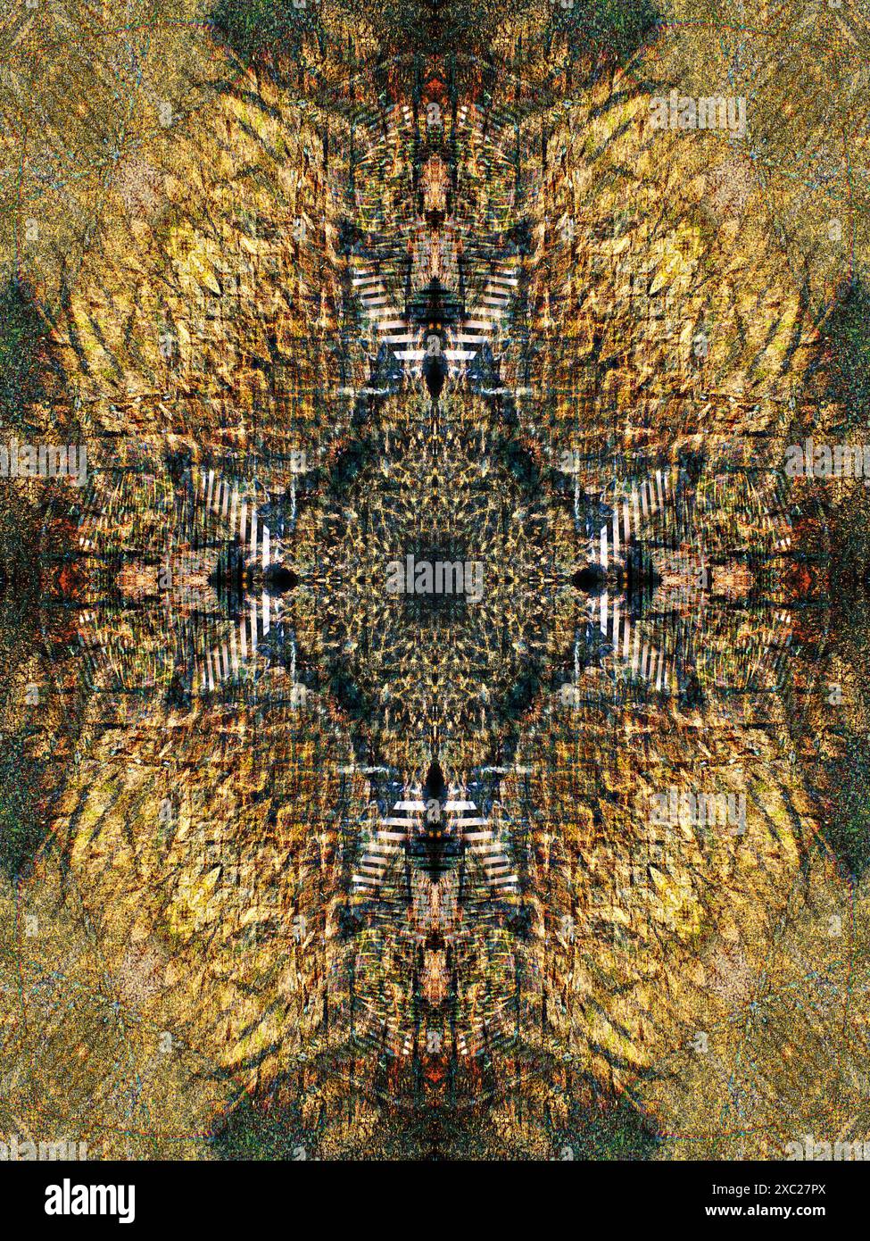 Everyday objects hi-res stock photography and images - Alamy