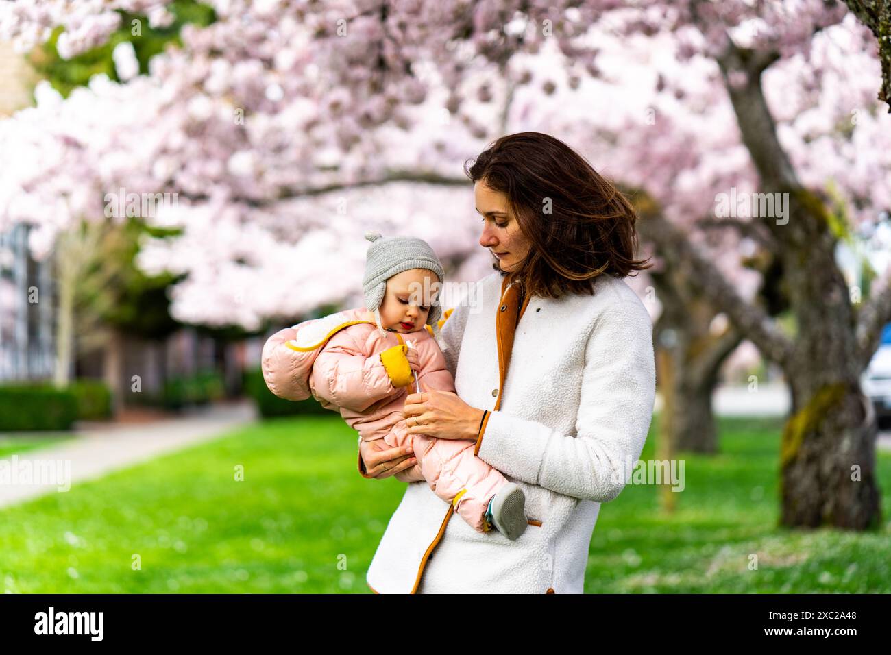 Mom and daughter hugging under the cherry trees in Washington Stock ...