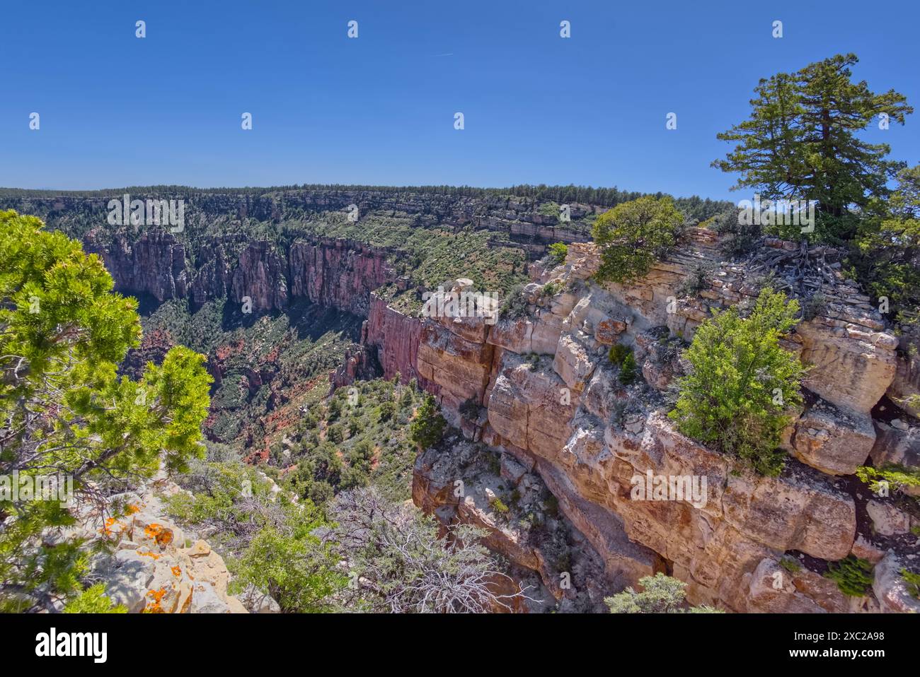 Edge of Naji Point at North Rim AZ Stock Photo - Alamy
