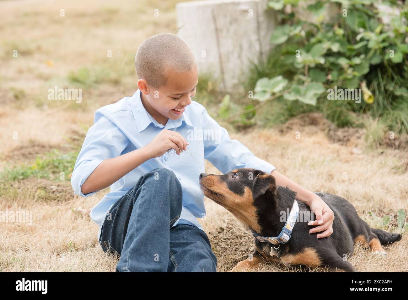 Boy and dog looking at each other Stock Photo - Alamy