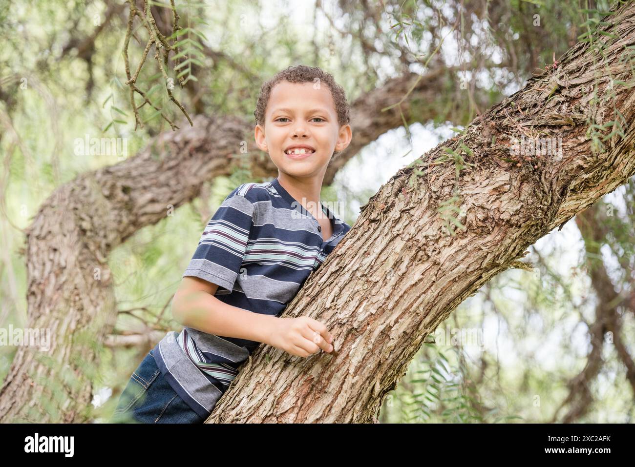 African boy climbing tree hi-res stock photography and images - Alamy