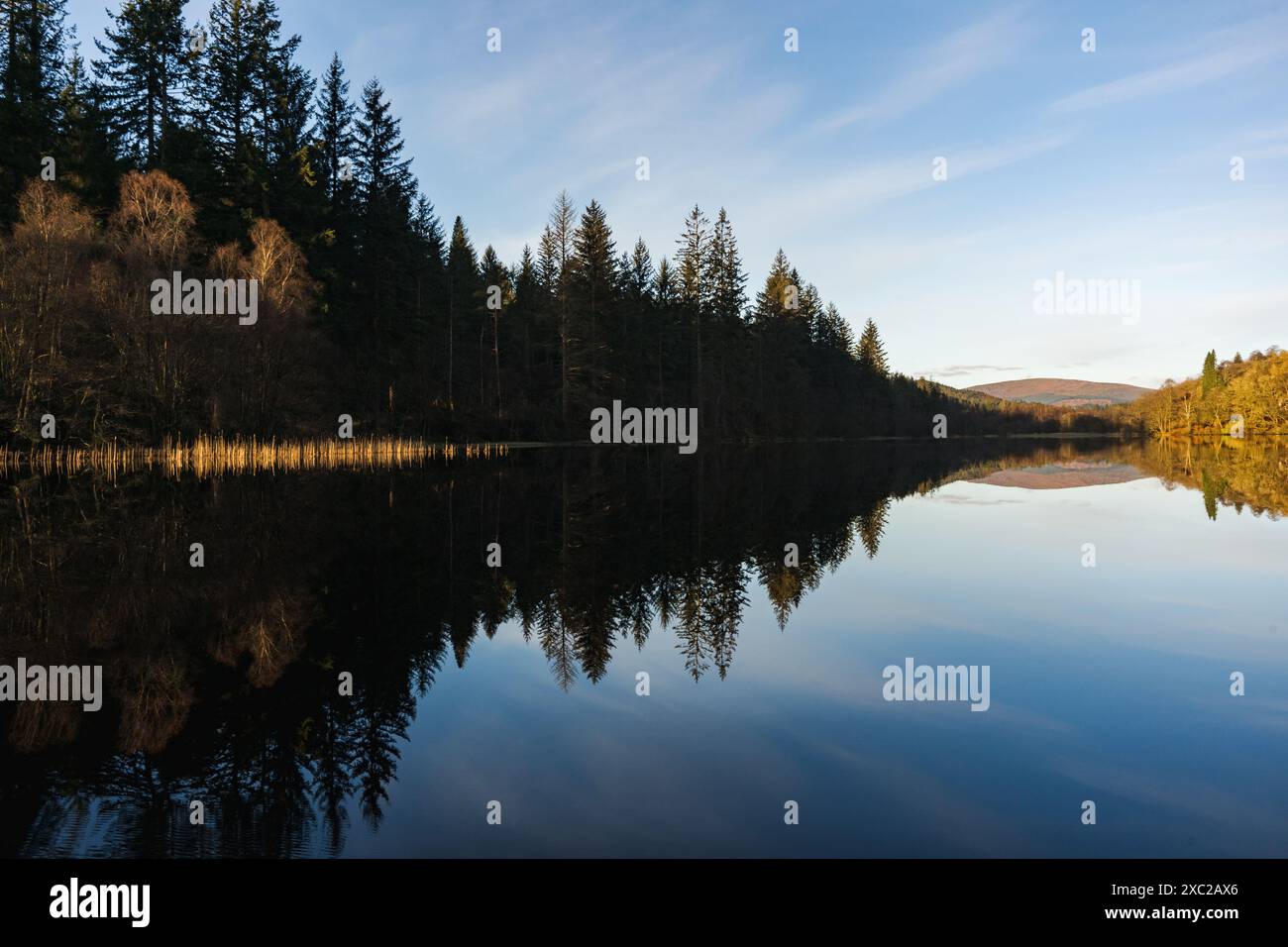 Forest reflection on calm lake Stock Photo - Alamy