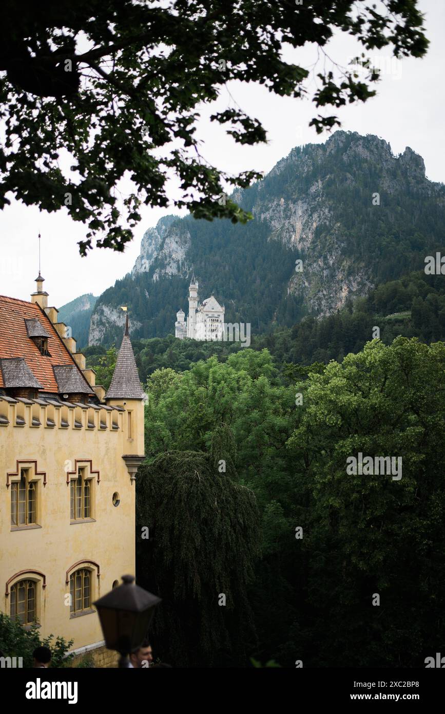 Captivating Views of Neuschwanstein Castle in Summer Rain Stock Photo ...
