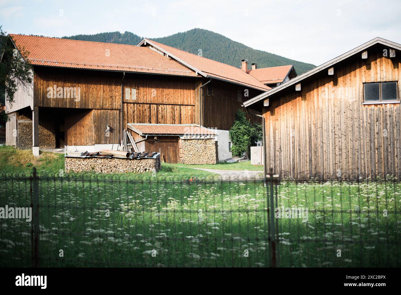 Rustic Wooden House with Stacked Logs Outside Stock Photo - Alamy