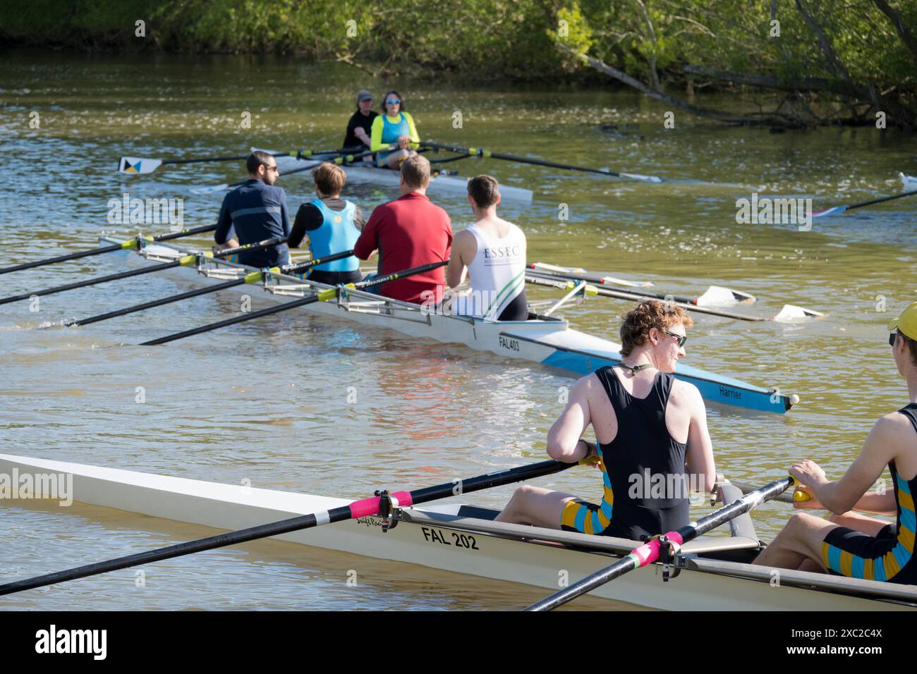 Rowing teams on the Thames by Iffley Lock and downstream of Oxford. It ...