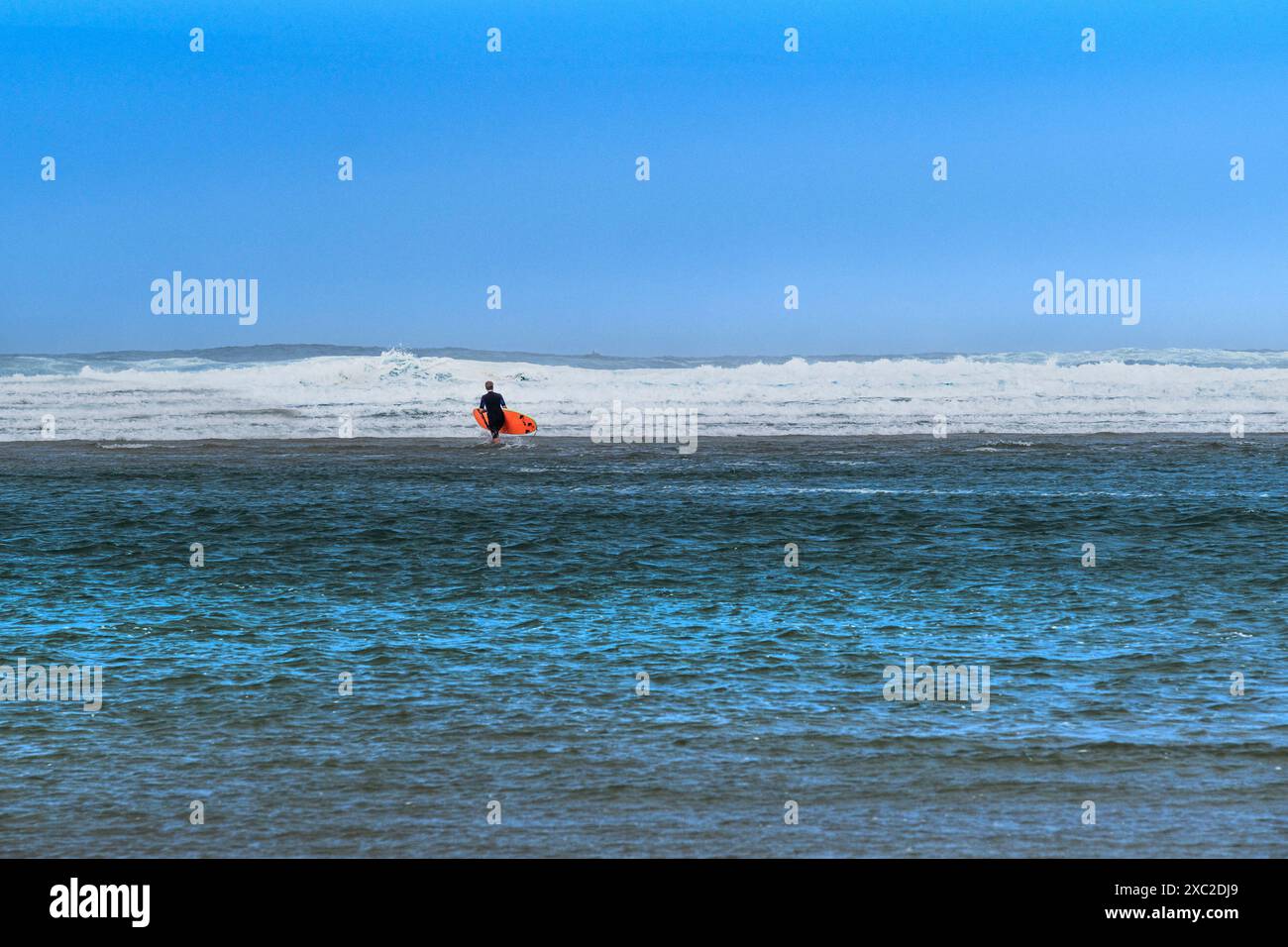 A surfer carrying his red surfboard into the waves the sea at Crantock ...
