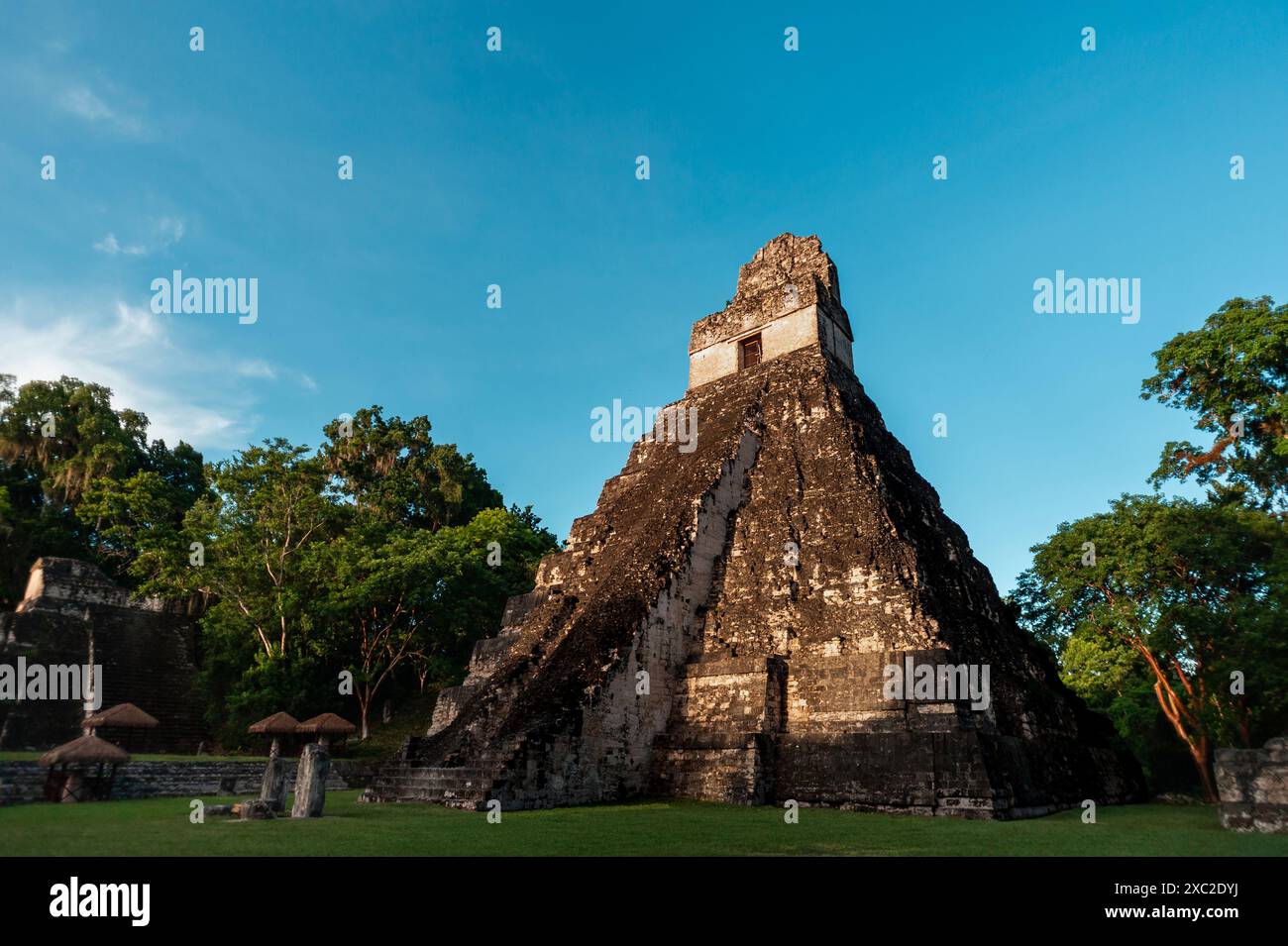 Tikal in Guatemala,Temple temple of the great Jaguar Stock Photo - Alamy
