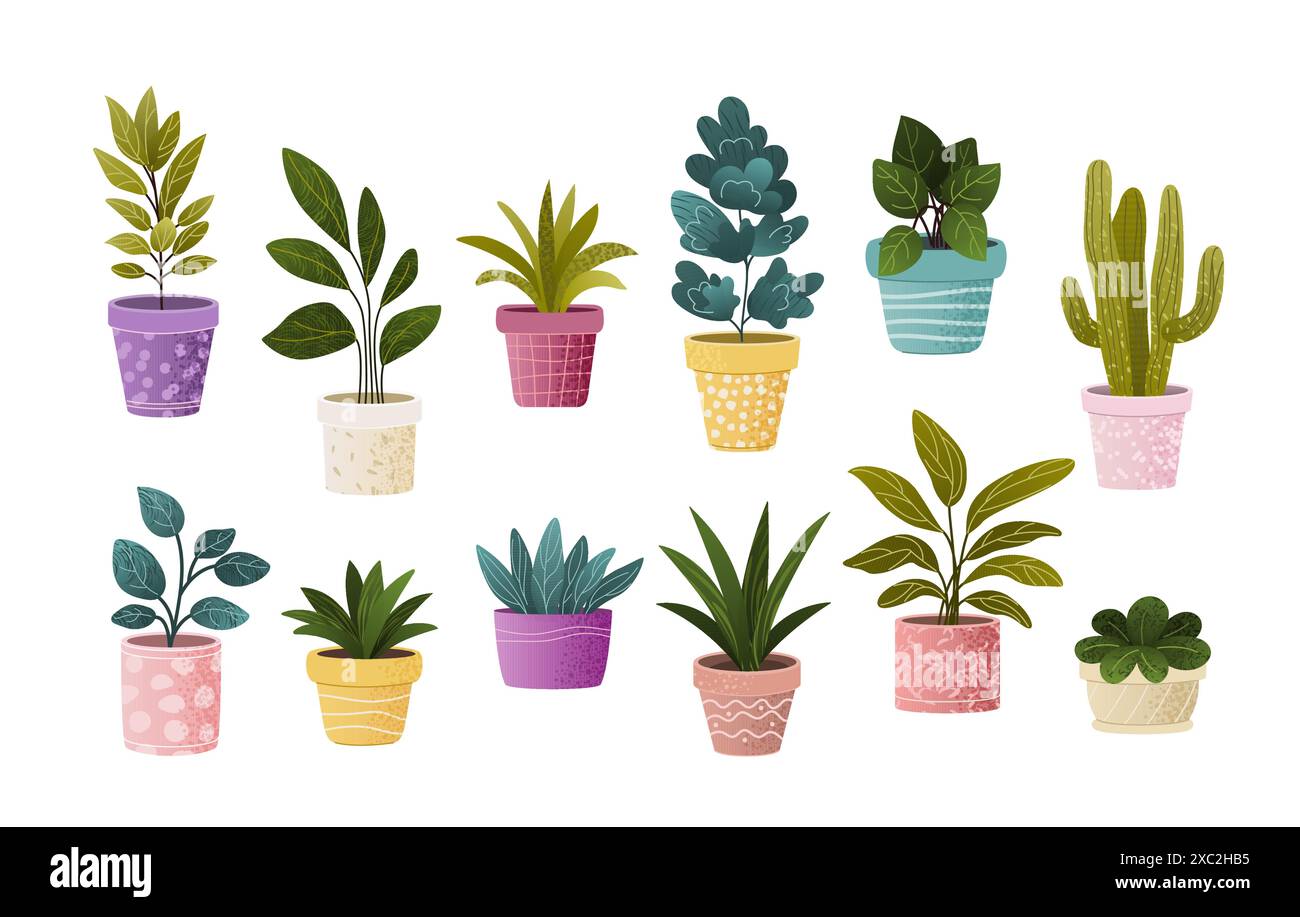 Simple cartoon plants growing hi-res stock photography and images - Alamy