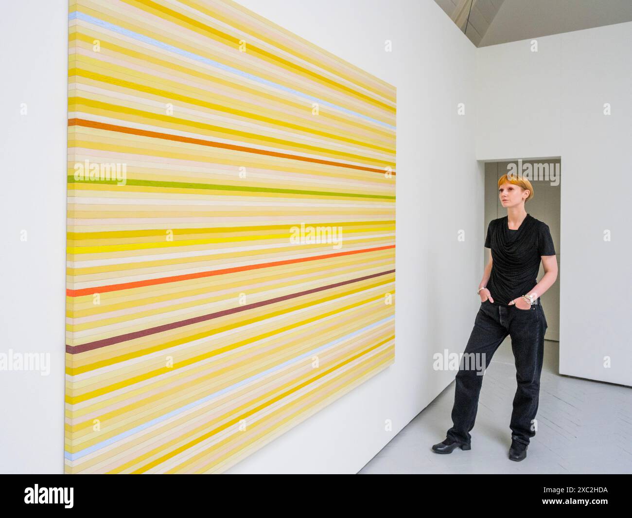 London, UK. 14th June, 2024. Stay a While by Fleur Dempsey - RA Schools ...