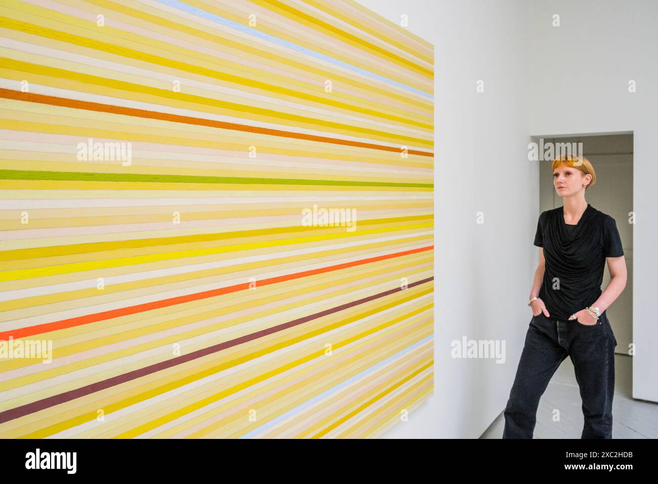 London, UK. 14th June, 2024. Stay a While by Fleur Dempsey - RA Schools ...