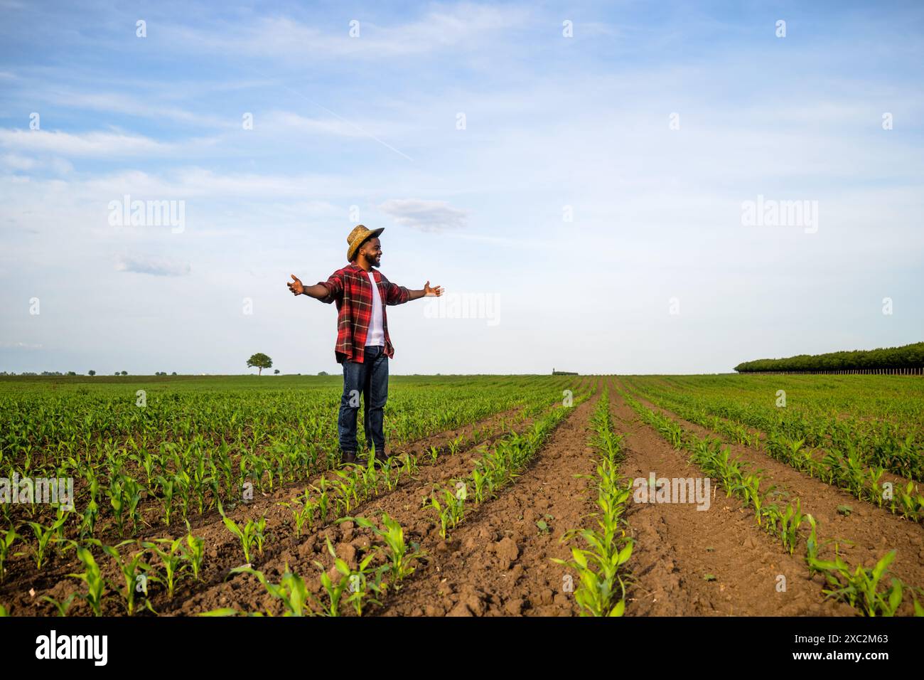 African american farmer in corn field hi-res stock photography and ...