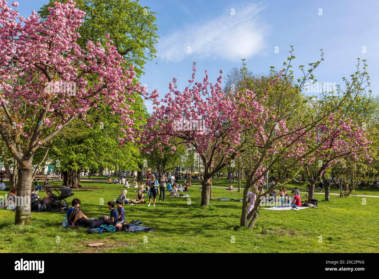 Berlin, Germany - 02 April 2024, Spring in a Berlin park. People had a ...