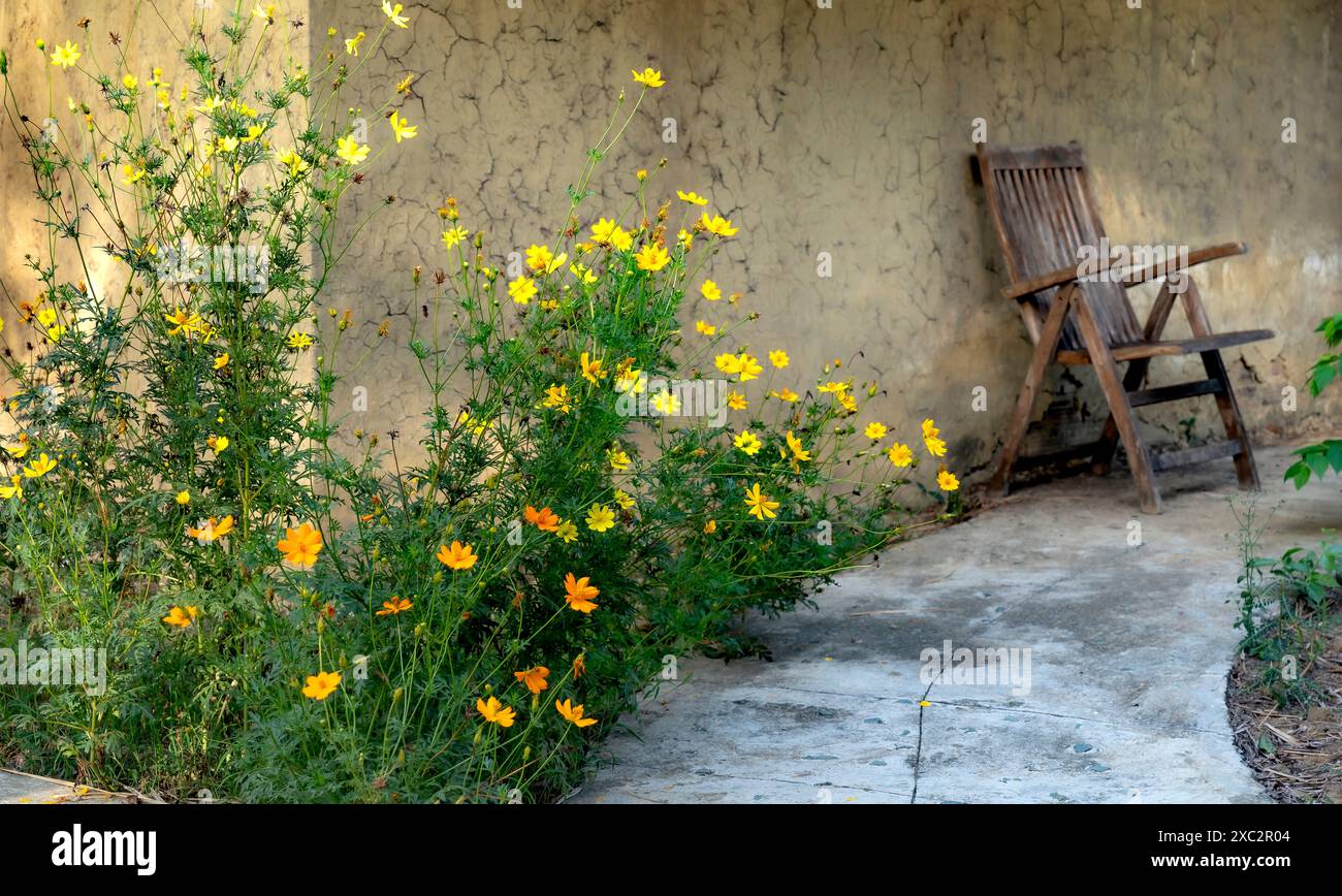 Old wooden chair next to the mud- walled of a thatched house in rural ...