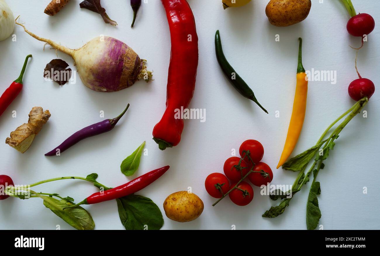 An arrangement of various fresh vegetables on a light background. The ...