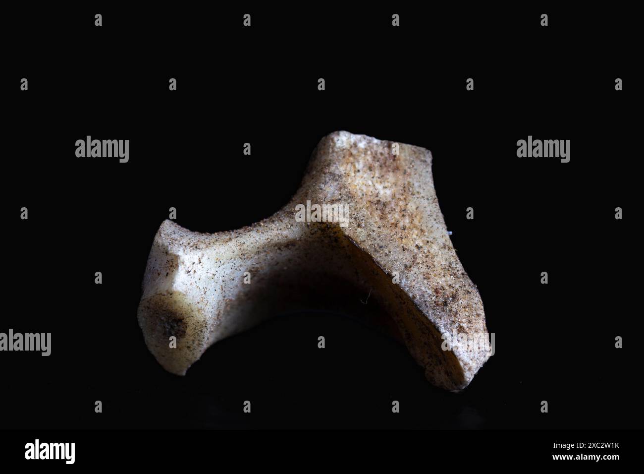 Bone shapes hi-res stock photography and images - Alamy