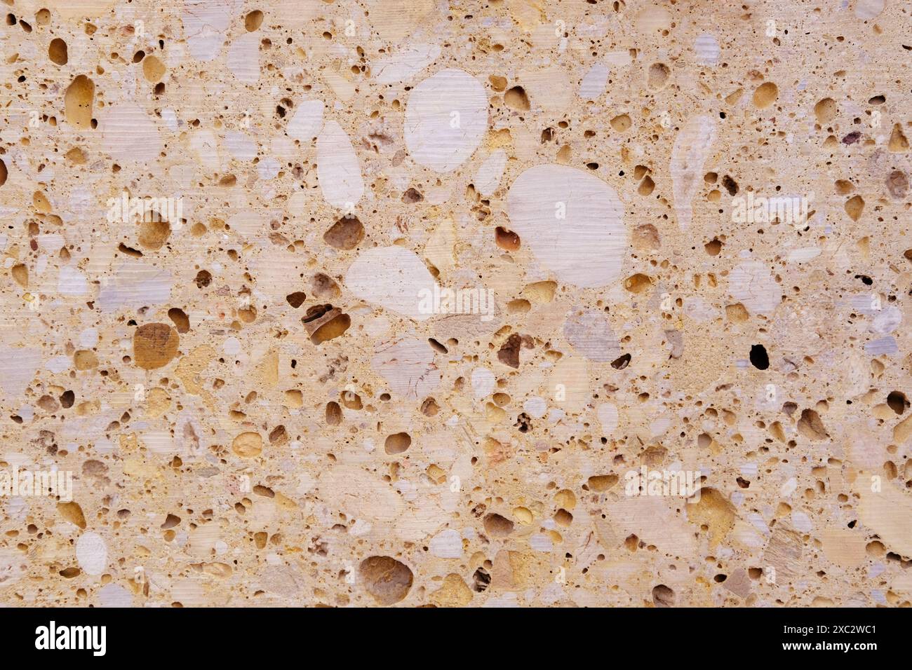 empty antique marble table, slab of sawn shell rock with fine texture ...