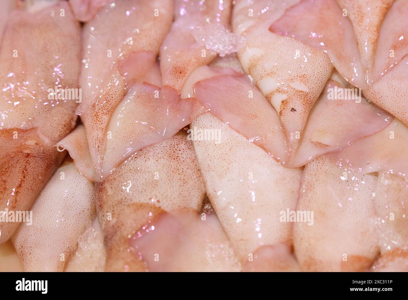 Squid skin colours hi-res stock photography and images - Alamy