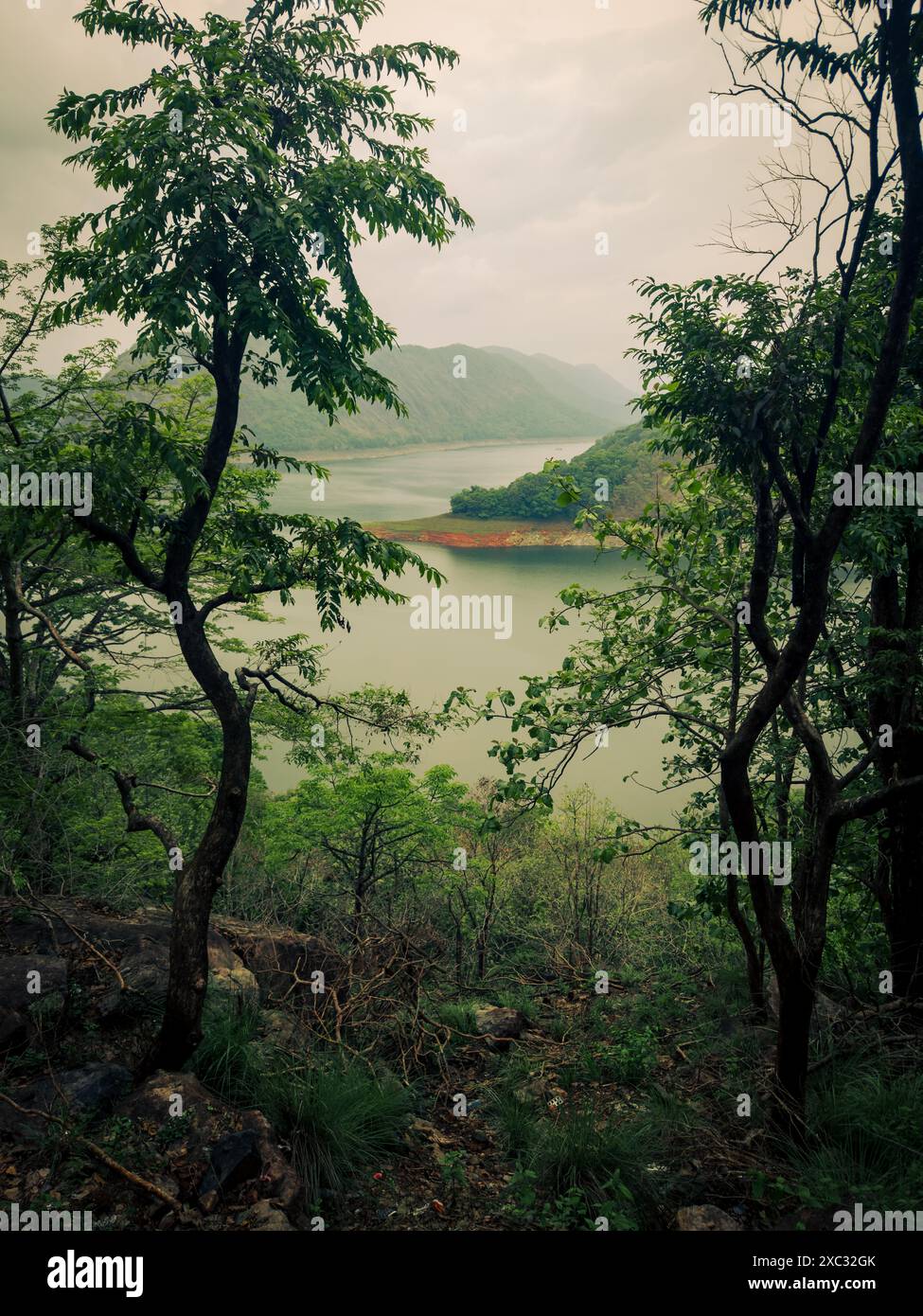 Beautiful view through the trees of the Idukki reservoir beuilt across ...