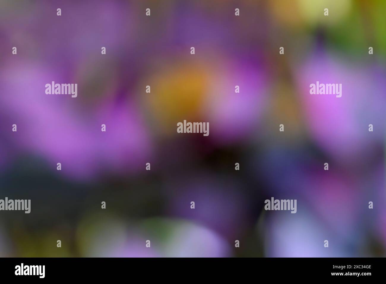 Abstract pattern, blurred floral arrangement Stock Photo - Alamy