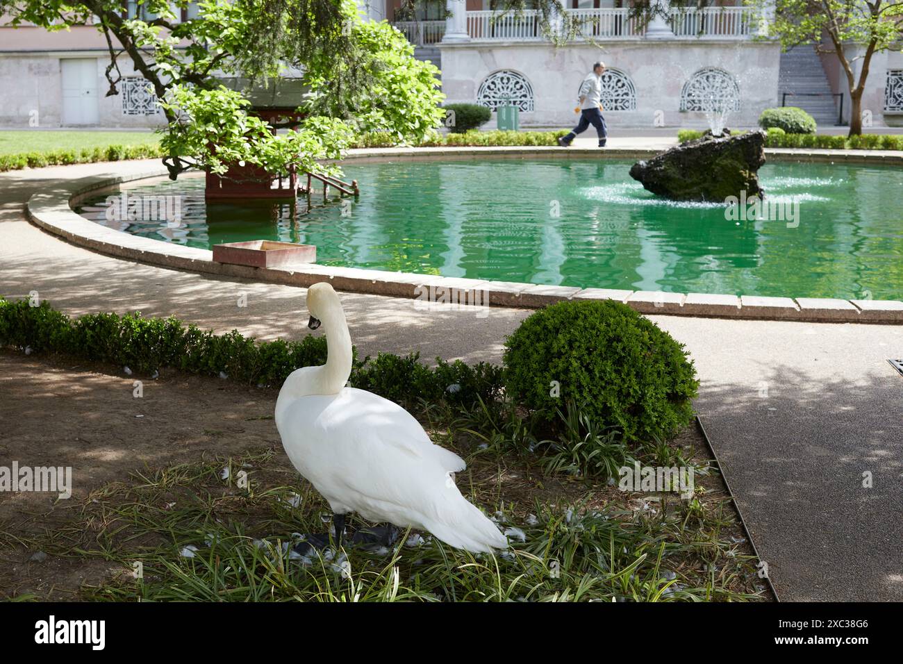 Beautiful white swan palace in hi-res stock photography and images - Alamy
